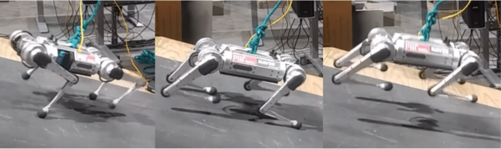Quadrupedal Locomotion - IHMC | Institute for Human & Machine Cognition